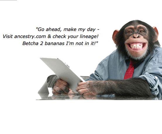 creationism monkey mocking ancestry evolution - by Noah Filipiak